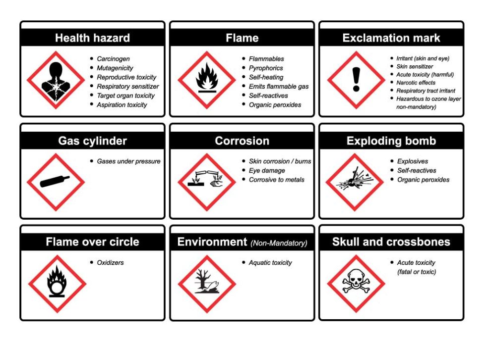 Understanding GHS Pictograms: Your Essential Guide